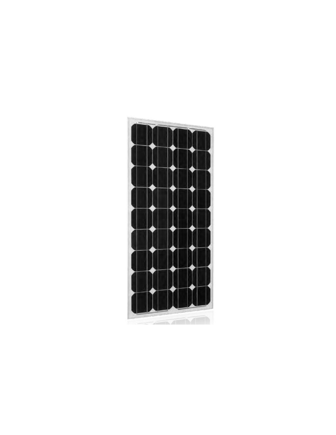 PV 100 PHOTOVOLTAIC MODULE 100W: Buy Online from Reblotech and Save Money